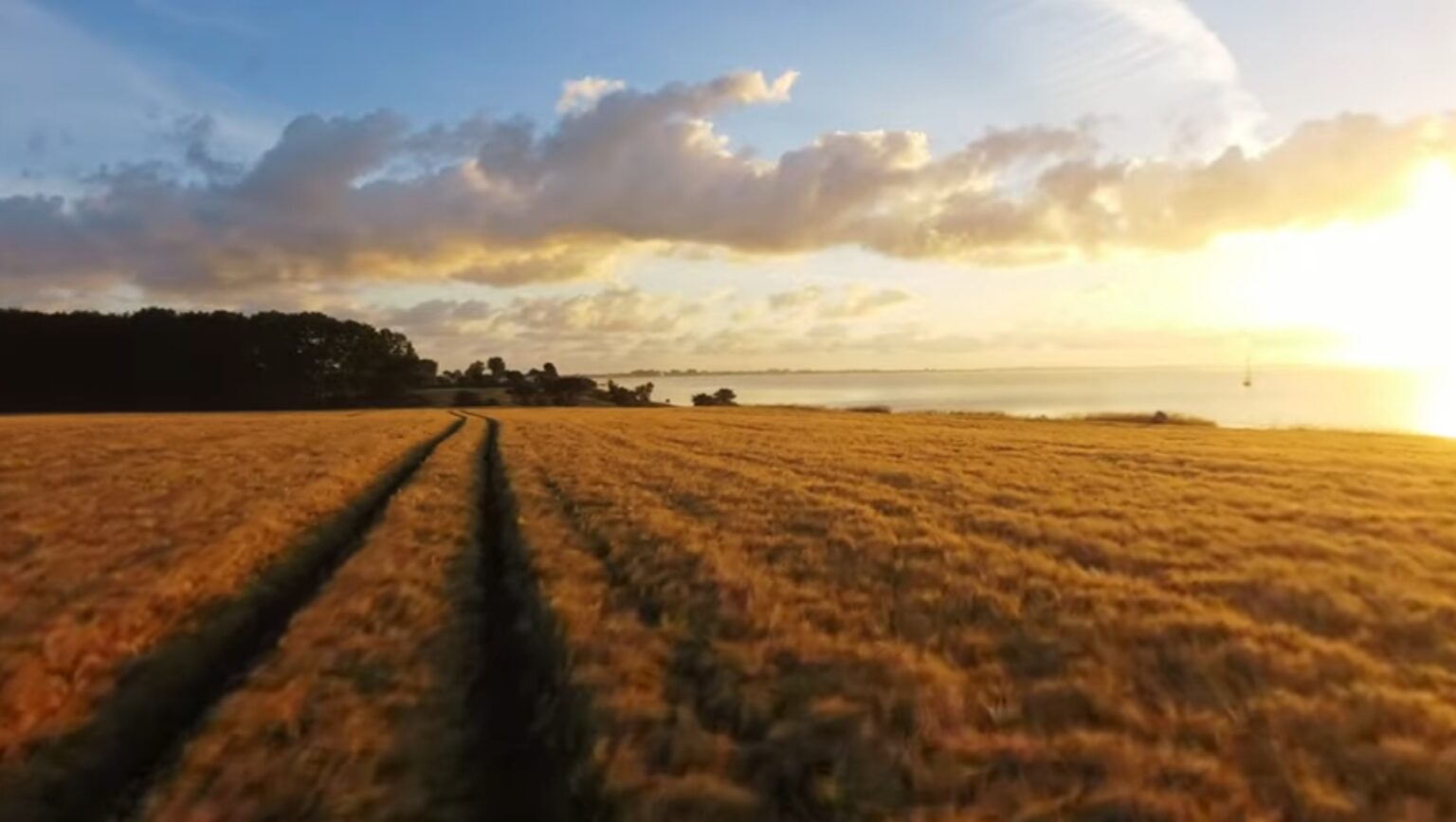 Are You Ready for the New Ushr Tax? – DDC